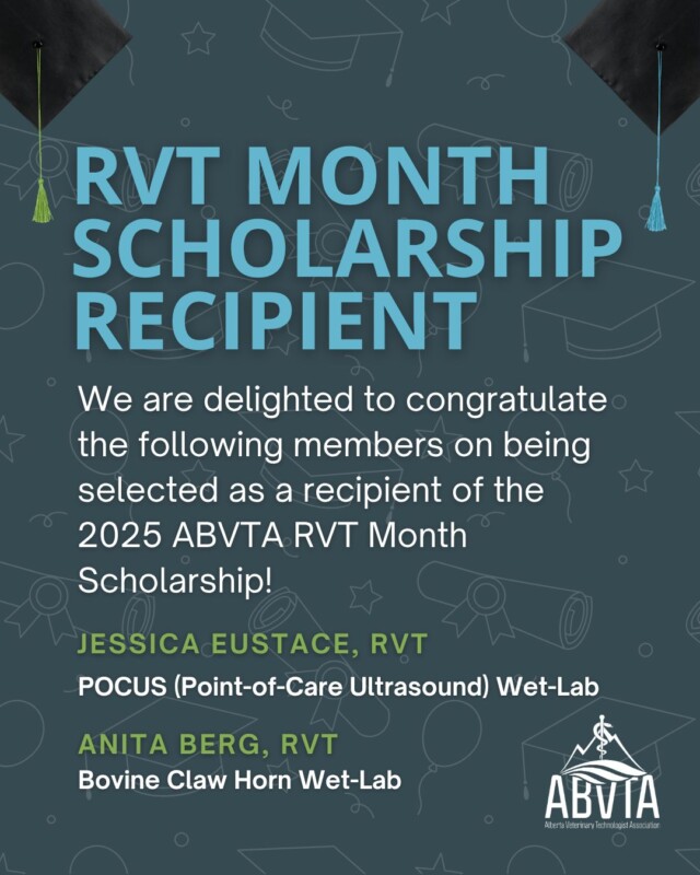 Canadian-Made: Pet Brands and Companies That Support Our Industry